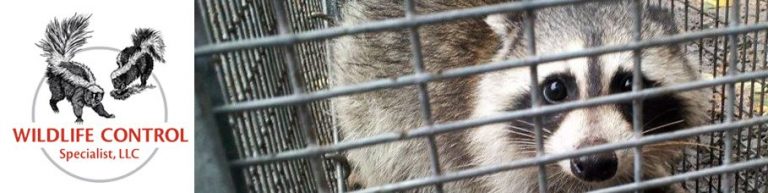 Service Area - Wildlife Control Specialist